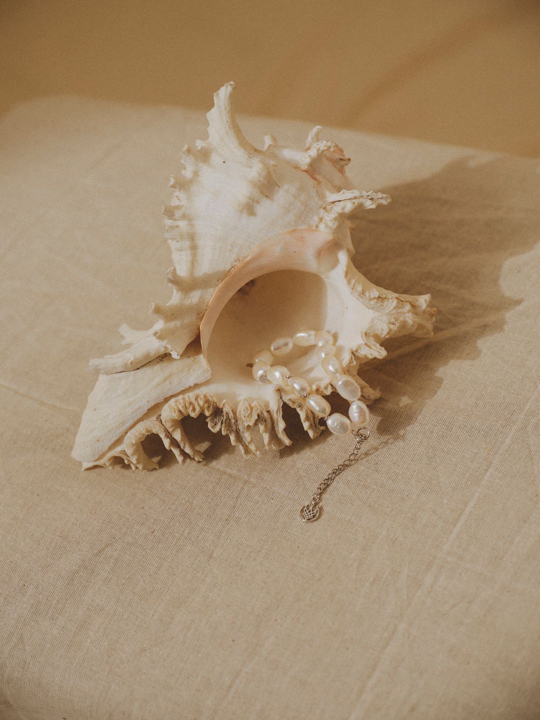 Jacques Weyers Studio