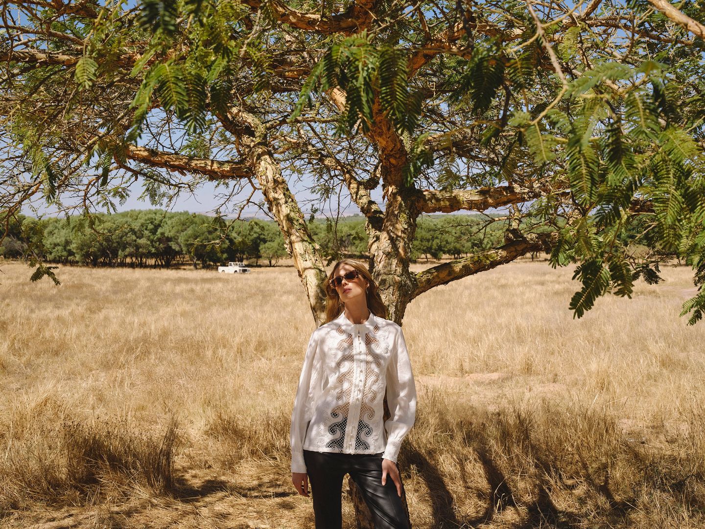 Jacques Weyers Studio